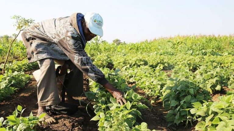 CITTAU PRESTA ASSISTÊNCIA TÉCNICA AOS PRODUTORES DE ASSOCIAÇÕES DO ...