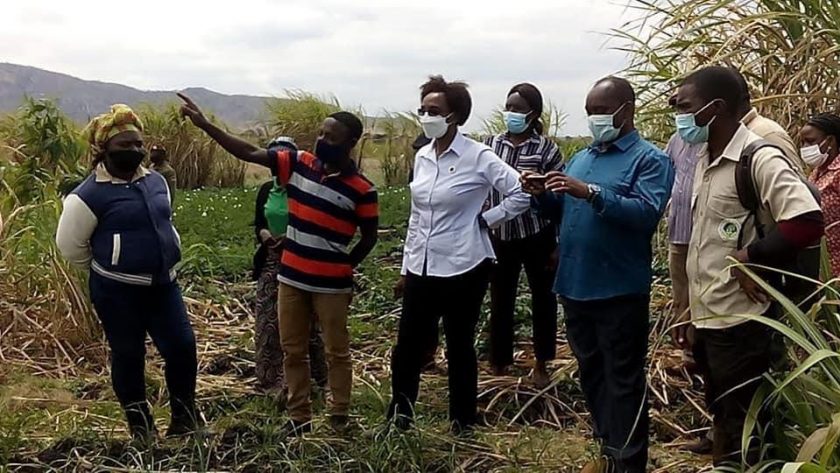 GOVERNADORA MASSENGELE VISITA CAMPOS AGRÍCOLAS DA CIDADE E DISTRITO DE ...