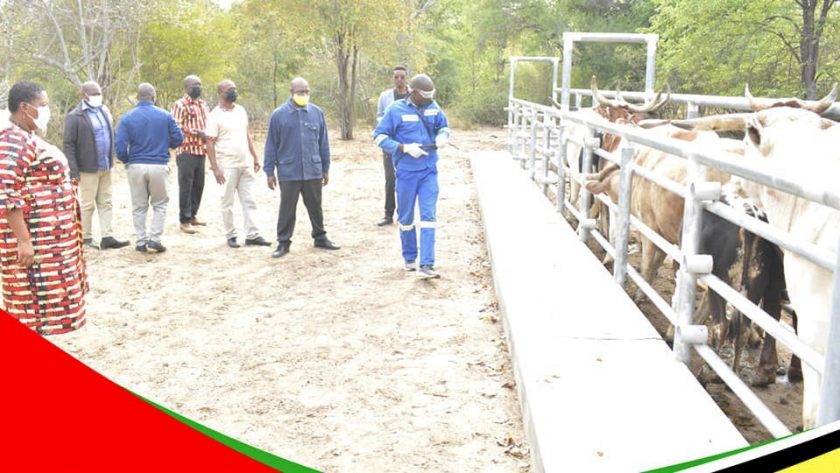 INAUGURADA MANGA DE TRATAMENTO DE GADO EM MAPAI – Ministério da ...