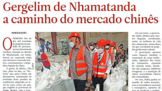 Gergelim de Nhamatanda a caminho do mercado chinês – Ministério da ...